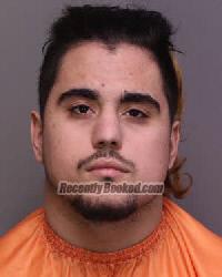 Recent Booking / Mugshot for MICHELE LEON MONTUORI in Florence County ...