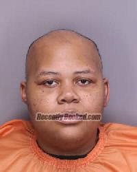 Recent Booking / Mugshot for AMANDA ROSEANNA MONTGOMERY in Florence ...