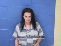 Recent Booking / Mugshot for Meagan D Leigh in Faulkner County, Arkansas