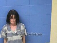 Recent Booking / Mugshot for Shelly Shaw in Faulkner County, Arkansas