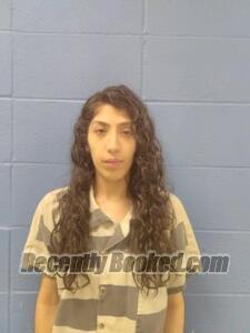 Recent Booking / Mugshot for VERONICA ELAINE CUNALATA in Faulkner ...