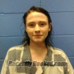Recent Booking / Mugshot for ALISON RENEE HILL in Faulkner County, Arkansas