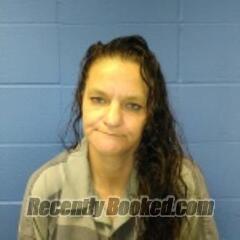 Recent Booking / Mugshot for SHEENA HUDSON in Faulkner County, Arkansas