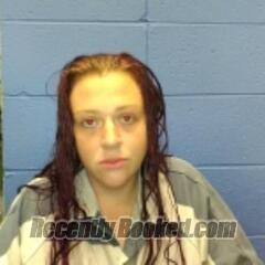 Recent Booking / Mugshot for ELIZABETH PAISLEY DENIS in Faulkner County ...