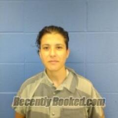 Recent Booking / Mugshot for ASHLEY RENEA ROBERTS in Faulkner County ...