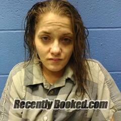 JAMIE MICHELLE TERRILL Arrest Record & Booking Info – Faulkner County ...