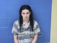 Recent Booking / Mugshot for Alexis Danyelle Benham in Faulkner County ...