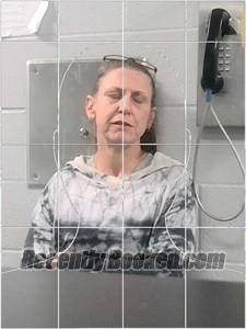 Recent Booking / Mugshot for Brandy Lynn Shepherd in Franklin County ...