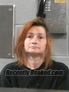 Recent Booking / Mugshot for Lisa A Finn in Franklin County, Arkansas