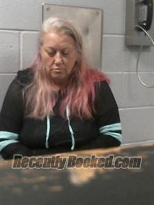 Recent Booking / Mugshot for Judith Ann Wilson in Franklin County, Arkansas