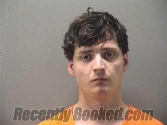 Recent Booking / Mugshot for DILLON RAY ELLIS in Garland County, Arkansas