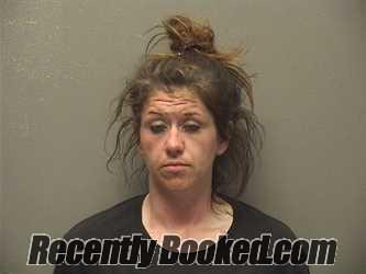 Recent Booking / Mugshot for APRIL MICHELLE JOHNSON in Garland County ...