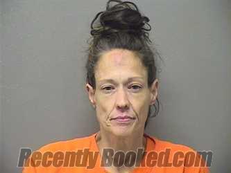 Recent Booking / Mugshot for JILLIAN LEIGH VICE in Garland County, Arkansas