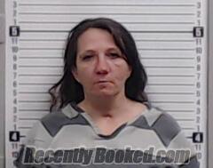 Recent Booking / Mugshot for BRANDY HOOKS in Greene County, Arkansas