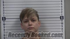 Recent Booking / Mugshot for KAYLEE HARRELL in Greene County, Arkansas
