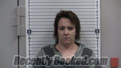 Recent Booking / Mugshot for LISA PIPPINS in Greene County, Arkansas