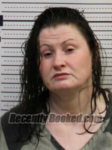 Recent Booking / Mugshot for BRANDY HARVEY in Greene County, Arkansas