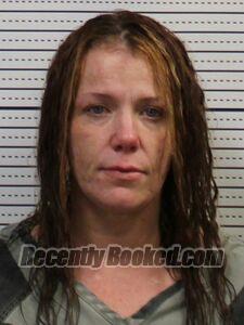 Recent Booking / Mugshot for JILLIAN ELLIS in Greene County, Arkansas