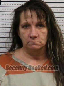 Recent Booking / Mugshot for BRANDY HOOKS in Greene County, Arkansas