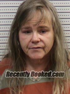 DEBORAH WALKER Arrest Record & Booking Info – Greene County, Arkansas ...