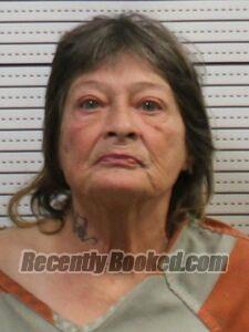 Recent Booking / Mugshot for SHERRY COOK in Greene County, Arkansas