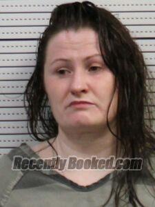 Recent Booking / Mugshot for BRANDY HARVEY in Greene County, Arkansas