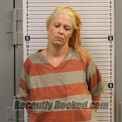 HOPE BARRETT Arrest Record & Booking Info – Greene County, Arkansas ...