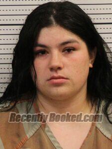 Recent Booking / Mugshot for ERIN GALVAN in Greene County, Arkansas