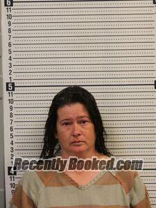 Recent Booking / Mugshot for HEATHER BROWN in Greene County, Arkansas