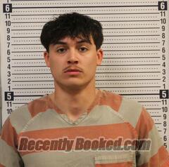 Recent Booking / Mugshot for MICHAEL TRAYWICK in Greene County, Arkansas