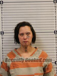 Recent Booking / Mugshot for CHELSEA RAMIREZ in Greene County, Arkansas