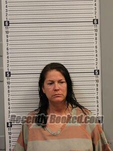 Recent Booking / Mugshot for SHELLY HORNE in Greene County, Arkansas