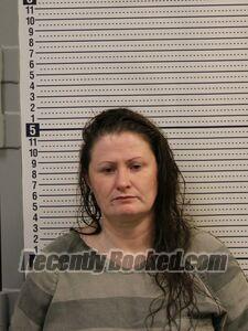 Recent Booking / Mugshot for BRANDY HARVEY in Greene County, Arkansas