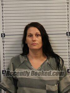 Recent Booking / Mugshot for ELIZABETH POOLE in Greene County, Arkansas