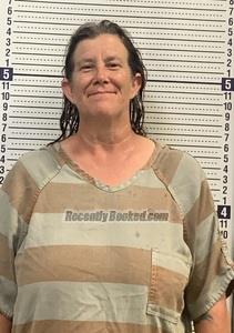 Recent Booking / Mugshot for STACEY MCLAUGHLIN in Greene County, Arkansas