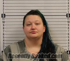 Recent Booking / Mugshot for ALICE ROSS in Greene County, Arkansas