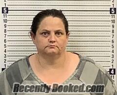 Recent Booking / Mugshot for CHRISTINE EFFINGER in Greene County, Arkansas