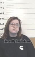 Recent Booking / Mugshot for BRITTANY CLARK in Hot Springs County, Arkansas