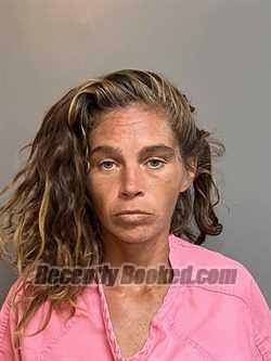 Recent Booking / Mugshot for Ashley Green in Georgetown County, South ...