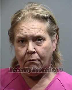 Recent Booking / Mugshot for PAULA MCNULTY-ROMANI in Georgetown County ...