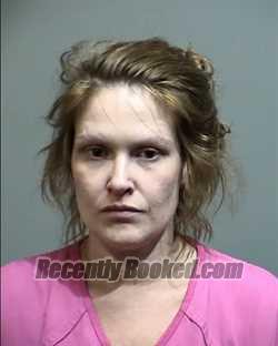 Recent Booking / Mugshot for RACHEL ANNETTE MCDANIEL in Georgetown ...