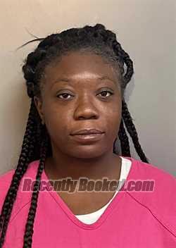 Recent Booking / Mugshot for Raquel Pringle in Georgetown County, South ...