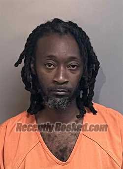 Recent Booking / Mugshot for Brian Jermaine Snipes in Georgetown County ...