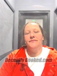 Recent Booking / Mugshot for Melissa BETH SEIBERT in Johnson County ...