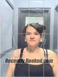 Recent Booking / Mugshot for Tiffany Renee Schmid in Johnson County ...