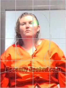 Marion Elizabeth Hettel Mugshot & Arrest Info | Johnson County, AR