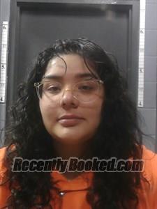 Recent Booking / Mugshot for Delilah Lynette Castillo in Johnson County ...