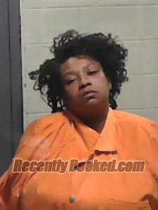 Recent Booking / Mugshot for Ann Marie Daniels in Johnson County, Arkansas