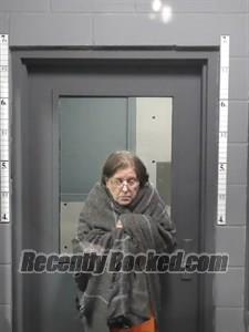 Recent Booking / Mugshot for Debra Hylton in Johnson County, Arkansas