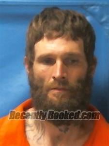 Recent Booking / Mugshot for Falon TULANE GRAY in Johnson County, Arkansas